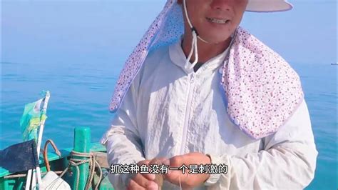 【老四赶海的作品】老四出海用小钩钓大鱼，大沙丁鱼都能抓到，今天又赚钱 Youtube