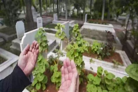 أجمل دعاء لخالي المتوفي يوم الجمعة المدار الخليجي