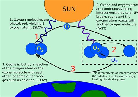 Ozone Depletion Wikipedia