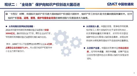 中国互联网发展报告（2022） 2021年中国网络知识产权保护状况协会动态中国互联网协会