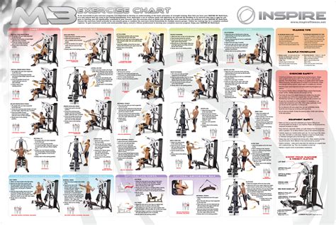 Bowflex Xceed Workout Poster Bowflex Shop