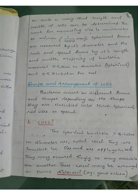 Solution Bacteria Classification Morphology Cytology Studypool