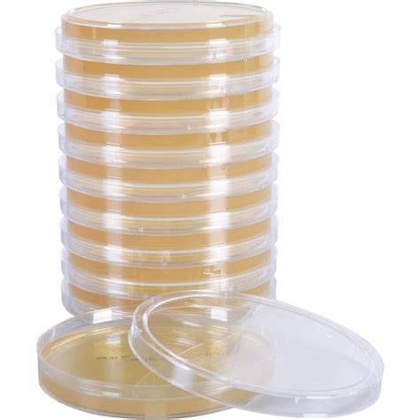 Hardy Diagnostics W520 Tryptic Soy Agar Lecithin Tween 80