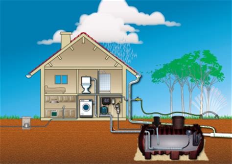 Is Regenwater Gebruiken Wel Hygiënisch Facq