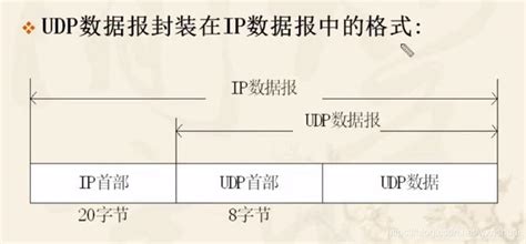 网络中一些很常见的协议，以及他们对应的报文格式介绍 tcp 阿柠xn infoq写作社区