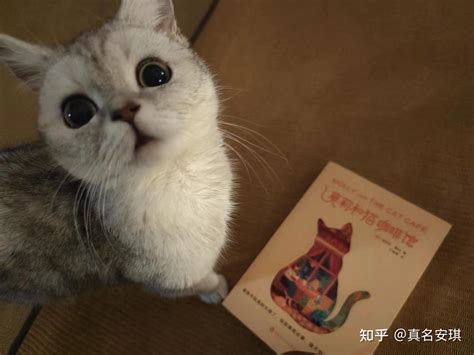 如果我们的一生中终将伴随着困难我们需要一次次在困难中成长 知乎