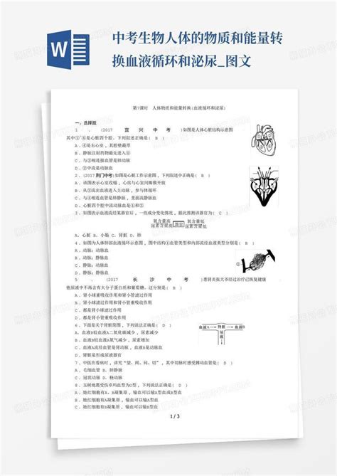 中考生物人体的物质和能量转换血液循环和泌尿图文word模板下载编号qrbbrbov熊猫办公