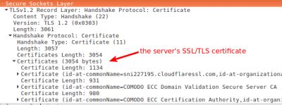 SSL TLS Handshake Explained With Wireshark Screenshot