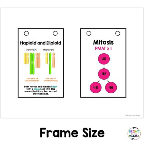 Genetics Anchor Chart Posters Sizes Bright In The Middle