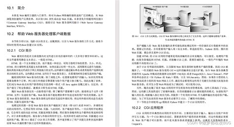 不容错过的经典！python核心编程（第3版）教你用实例学python！python核心编程实践 Csdn博客