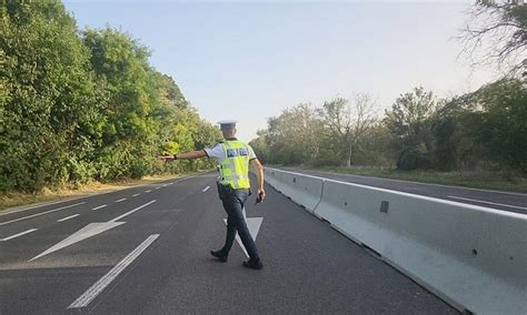 Lovitură dură pentru Poliția Rutieră Radarele nu mai pot fi ascunse