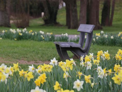 Centre Funéraire Marchetti Avis De Décès BaldÉsi Alain