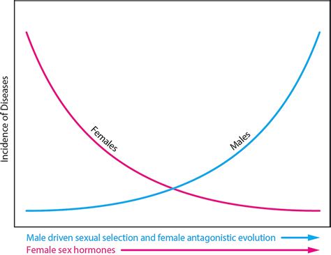 Sexual Selection Graph