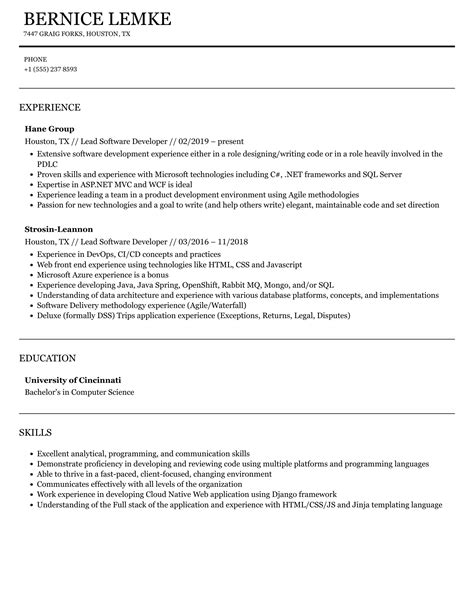 Lead Software Developer Resume Samples Velvet Jobs