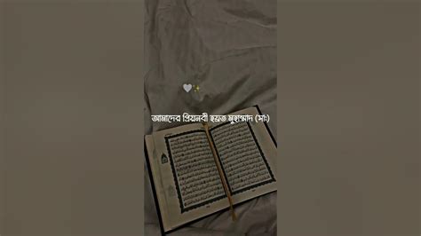 আল্লাহর উপর পূর্ণ ভরসা রাখতে হবে 🤲 ️ Explore Quotes Islamicstatus