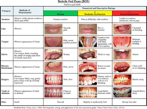 Bedside Oral Exam Guide Download Scientific Diagram