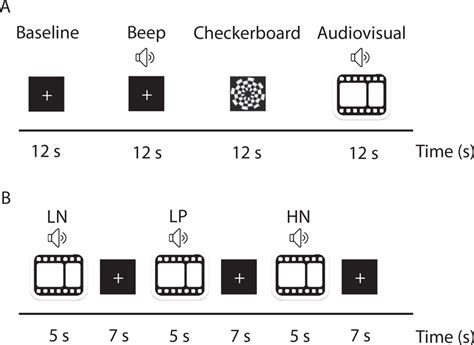 A Schematic Representation Of The Presentation Timing A Functional