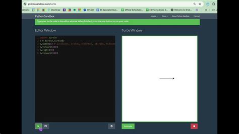 How To Save Your Python Turtle Project In Python Sandbox Youtube