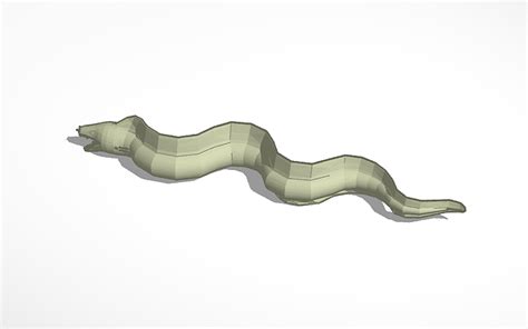 3d Design Moray Eel Tinkercad