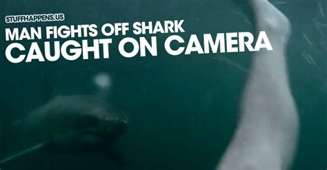 Man Fights Off Shark Caught On Camera