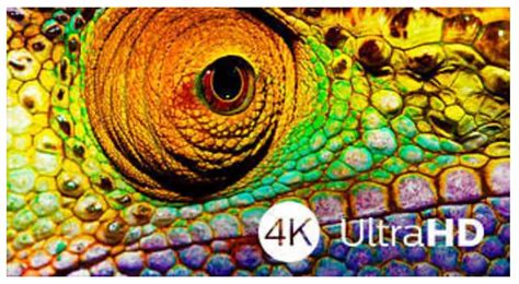 Philips 6000 Series Smart Ultra Hd Tv Owners Manual