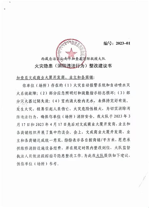 各县区动态 Ii 加查县消防救援大队深入文成商业大厦帮扶指导火灾隐患整改工作澎湃号·政务澎湃新闻 The Paper