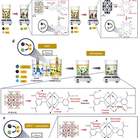 Linear Pseudo First Order Linear Pseudo Second Order Concentration Download Scientific Diagram