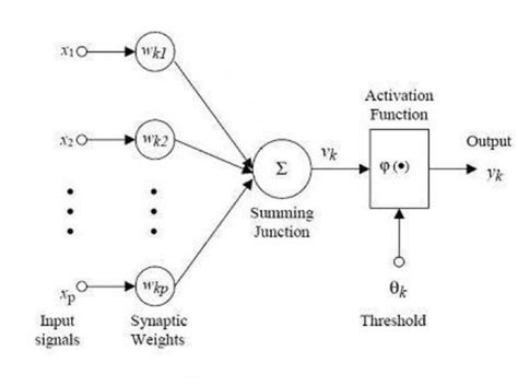 Basic Structure Of A Neuron 5 Download Scientific Diagram