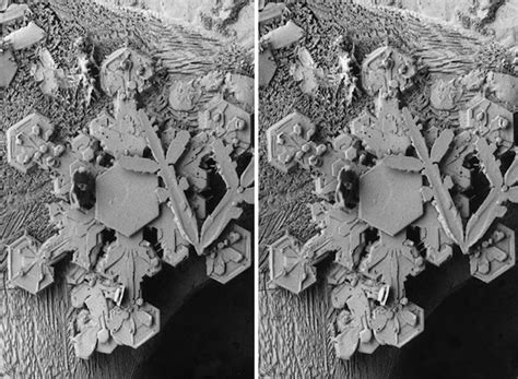 Snowflake Images Under An Electron Microscope
