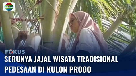 Wisata Kehidupan Desa Di Kulon Progo Pengunjung Bisa Ikut Sadap Nira Dari Pohon Aren Fokus