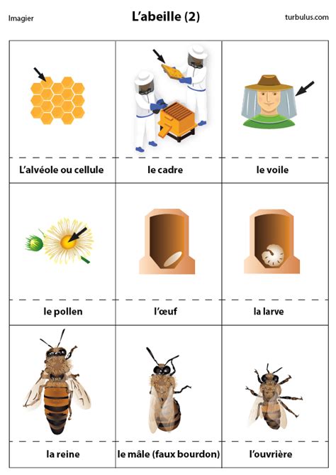 Épinglé sur Beien