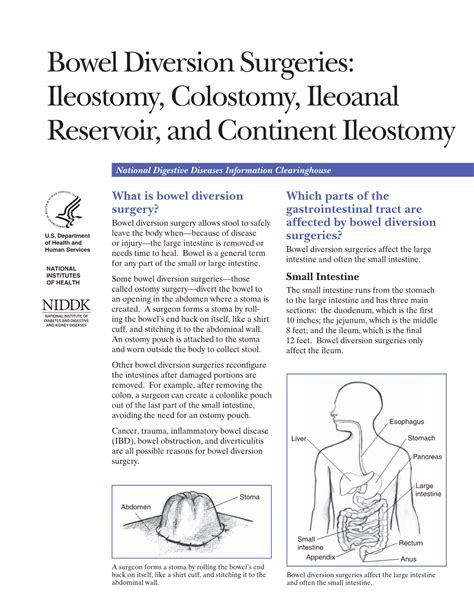 Bowel Diversion Surgeries Ileostomy Colostomy Ileoanal Reservoir
