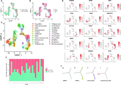 Single Cell Rna Seq Reveals The Presence Of Retinoma And Rb Cells In H9