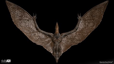 Rodan Monsterverse Image Gallery Wikizilla The Kaiju Encyclopedia