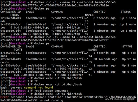 Docker之网络配置docker Nethost Csdn博客