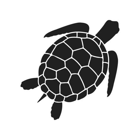 200 Sea Turtle Isolated Turtle White Background Stock Illustrations