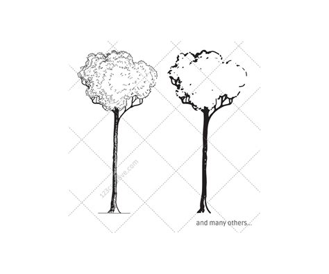 Tree Sketch Vector At PaintingValley Com Explore Collection Of Tree Sketch Vector