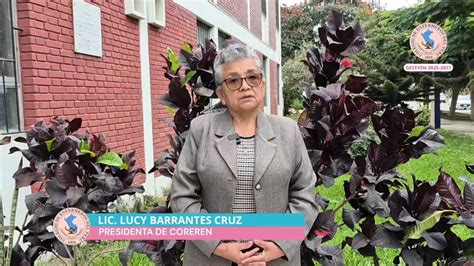 Comite Nacional De Residentado En Enfermería Jesús Maria