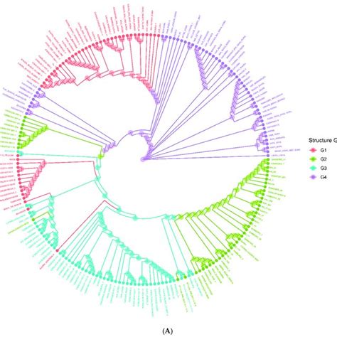 A Graph Of Estimated Membership Fraction Based On Structure Analysis