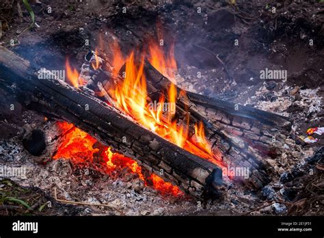 Hot Flame Of Burning Wood In Campfire Stock Photo Alamy