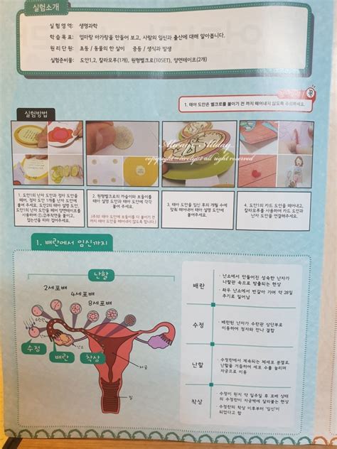 아기는 어떻게 태어날까 탄생편 그레이트북스 생활속 원리 과학 초등전집 5학년과학연계도서 네이버 블로그