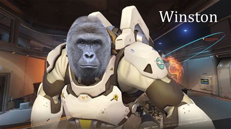 Overwatch Winston This Video Will Prove You Wrong Answers Youtube