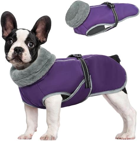 Cappotto Per Cane Giacca Per Cane Abbigliamento Invernale Per Cane