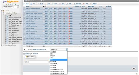 restore from backup wordpress 網站還原與備份 麥克斯與沃普雷司