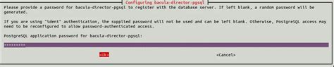 Install Bacula Backup Server On Ubuntu 2004