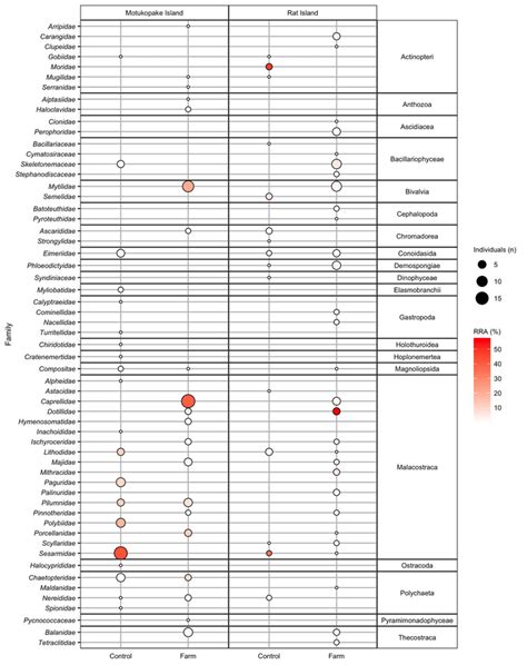Presenceabsence Plot For Dna Sequences Identified In Snapper Gut