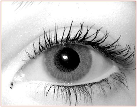 Toward The Next Generation Of Iris Biometrics Science Spie Homepage Spie