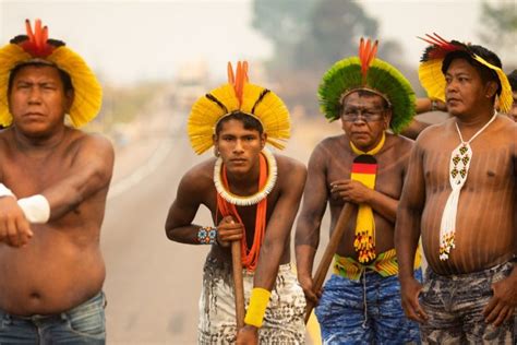 Brazils Indigenous Groups Demand A Voice In New Soybean Railway Project
