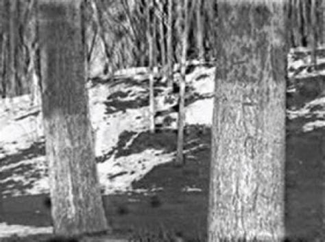 Pixel Level Fused Result A Wavelet Transform B Pca C Download Scientific Diagram