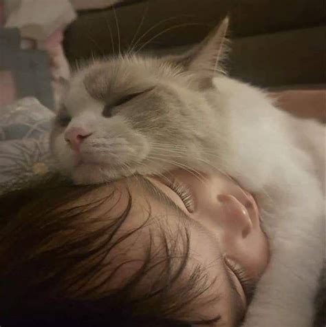 Tetra Pak Myanmar [zawgyi] Tetra Pak Myanmar ရဲ႕ ပြဲေလးကို လာၿပီး Protectswhatsgood ဆိုတဲ့